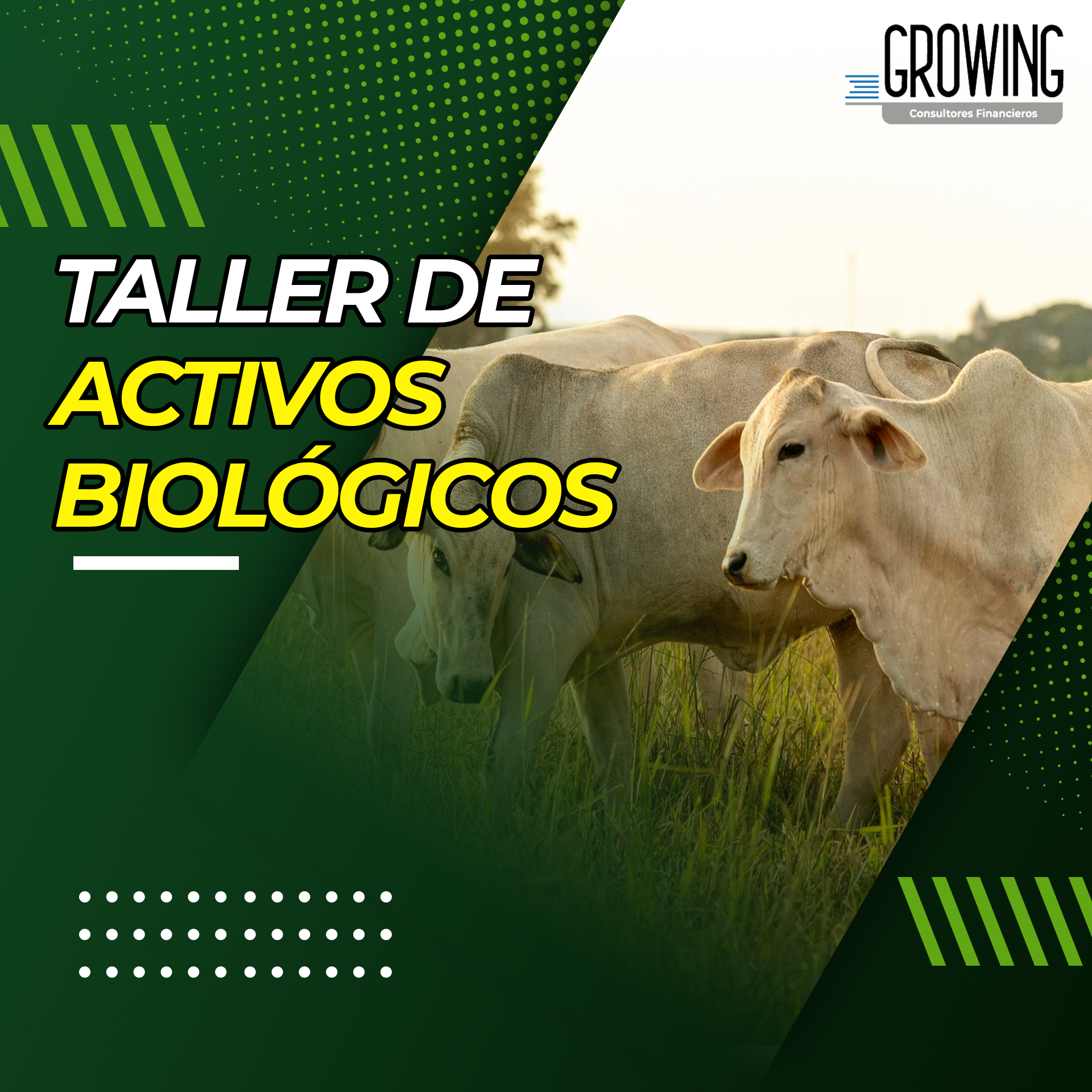 Taller de Activos Biológicos – ENTRENATE EN NIIF