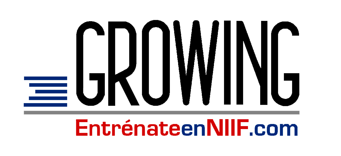Jorge Sarmiento - ENTRENATE EN NIIF